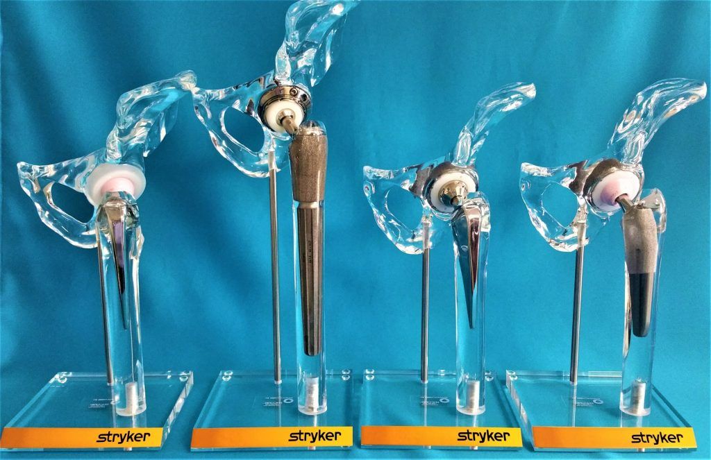 Joint Models - Displays and Education | Encoris