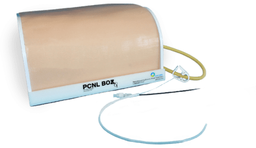 PCNL Kidney Trainer - Percutaneous Nephrolithotripsy - Encoris